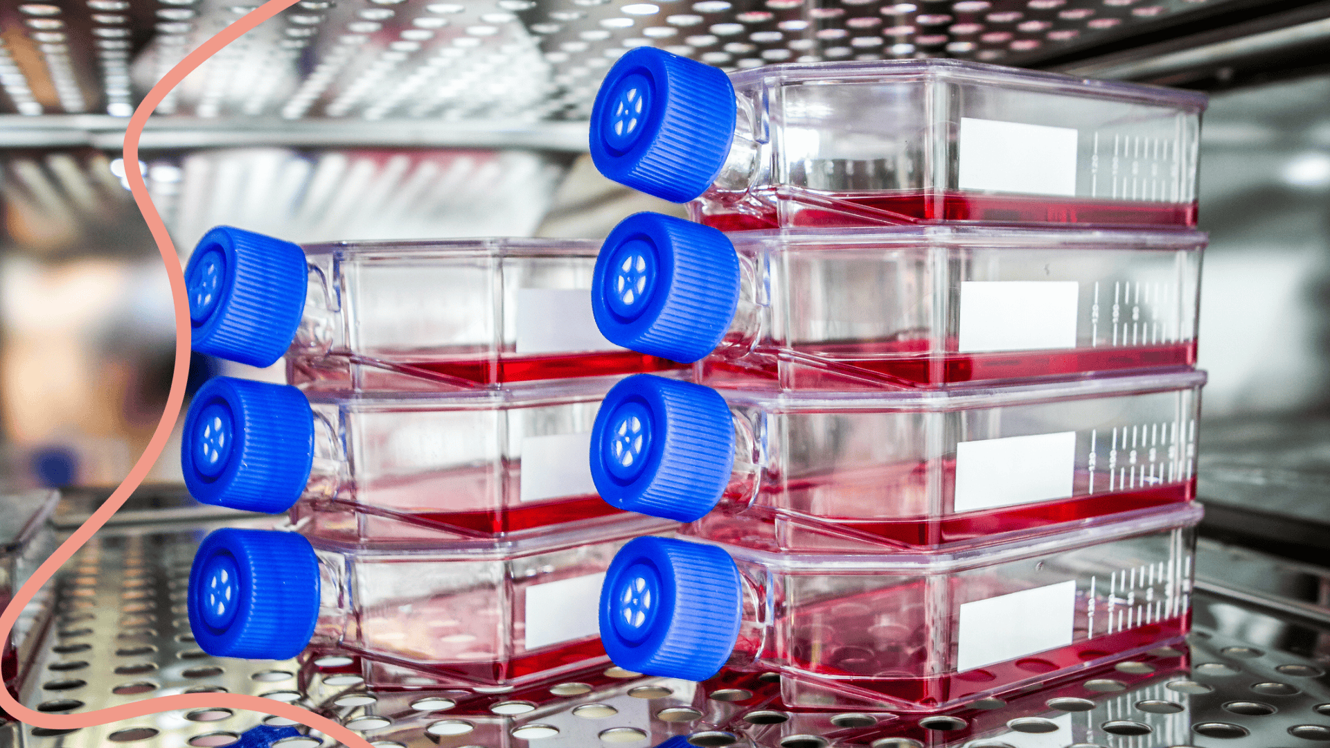 Cells as Substrates for Potency Assay | RoukenBio